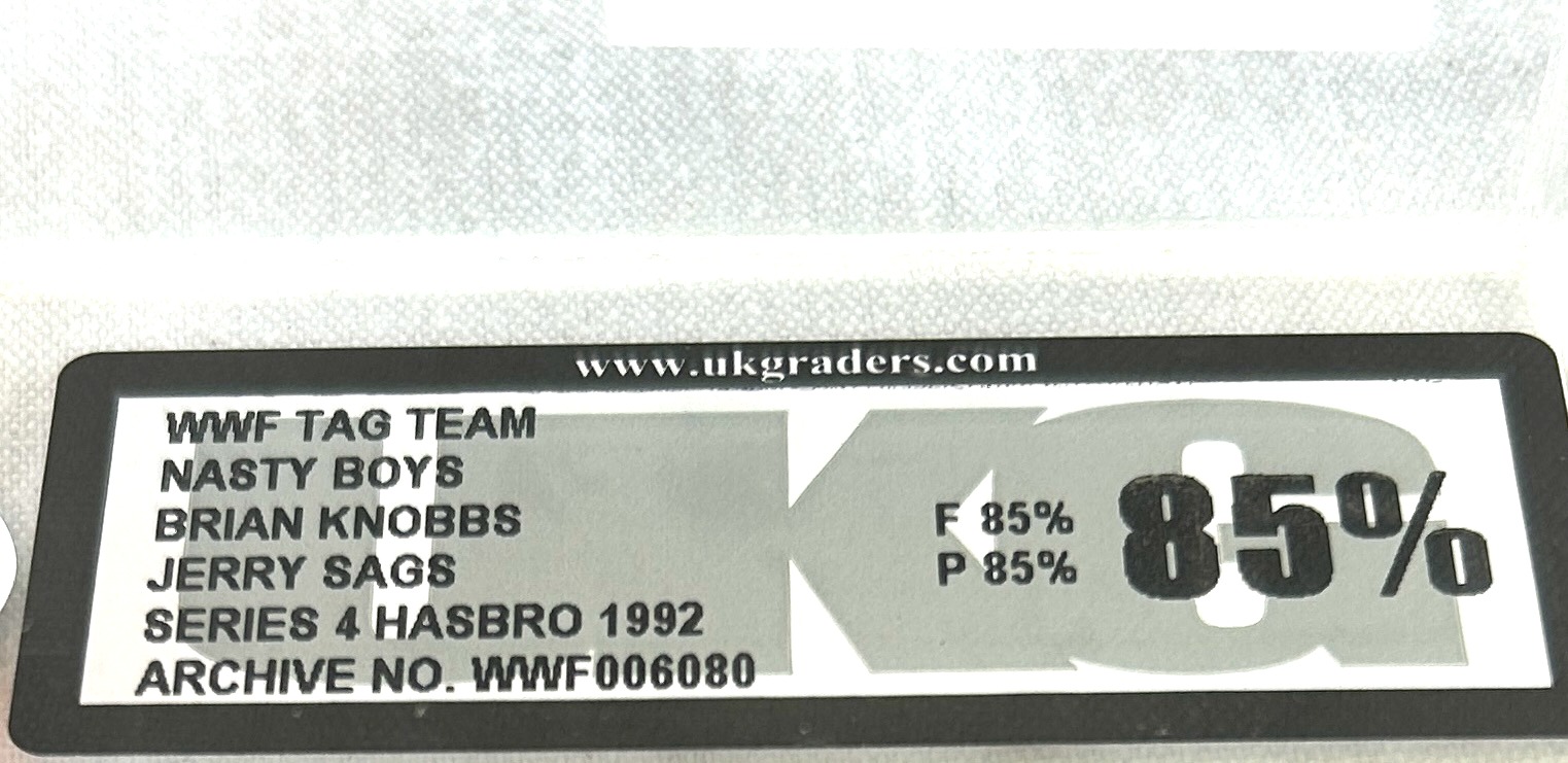 Lot 95 - Hasbro WWF vintage Nasty Boys Tag Team figure